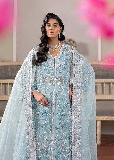 Enchanting Ice Blue Pakistani Party Dress for Festive Nights – Nameera ...