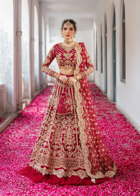 Ethereal Mehroon Pakistani Bridal Dress for Festive Occasions – Nameera ...