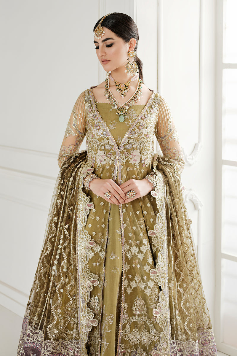 Embroidered Net Pishwas Frock Pakistani Party Dress – Nameera by Farooq