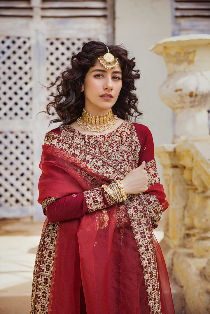 Maroon Raw Silk Salwar Kameez Pakistani Party Dresses – Nameera by Farooq