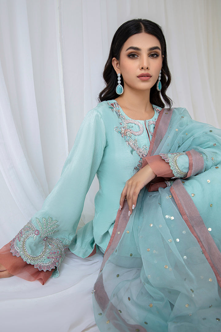 Elegant Sky Blue Pakistani Salwar Kameez Dupatta Suit – Nameera by Farooq