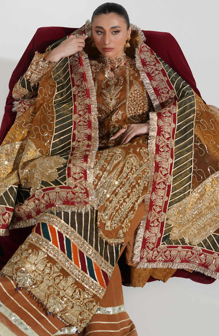 Multi Colored Embellished Pakistani Kameez Sharara Dress – Nameera by ...