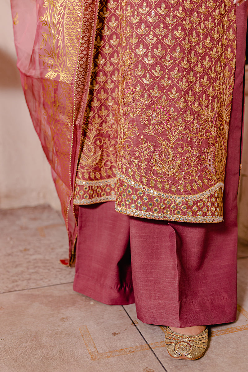Pakistani Salwar Kameez Pink Embellished Salwar Suit – Nameera by Farooq