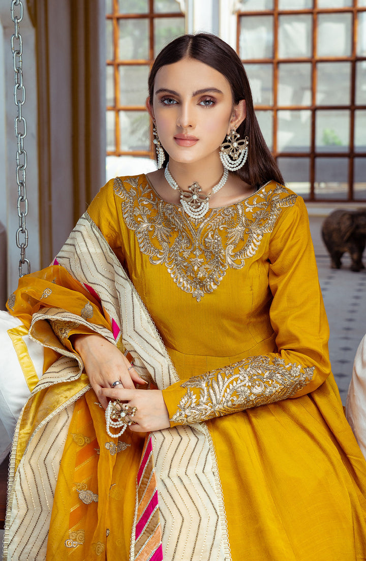 Embellished Raw Silk Frock Design Pakistani Party Dress – Nameera by Farooq