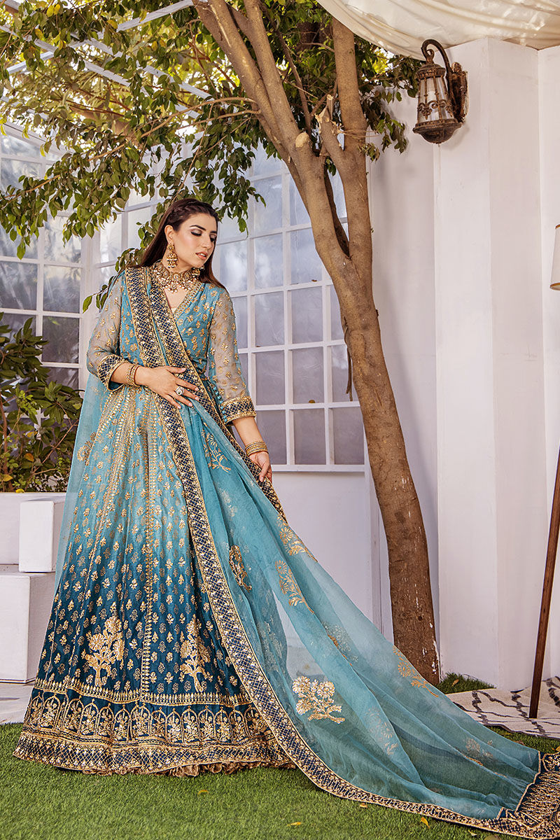 Blue Kalidar Hand Embellished Pishwas with Dupatta Wedding Dress ...