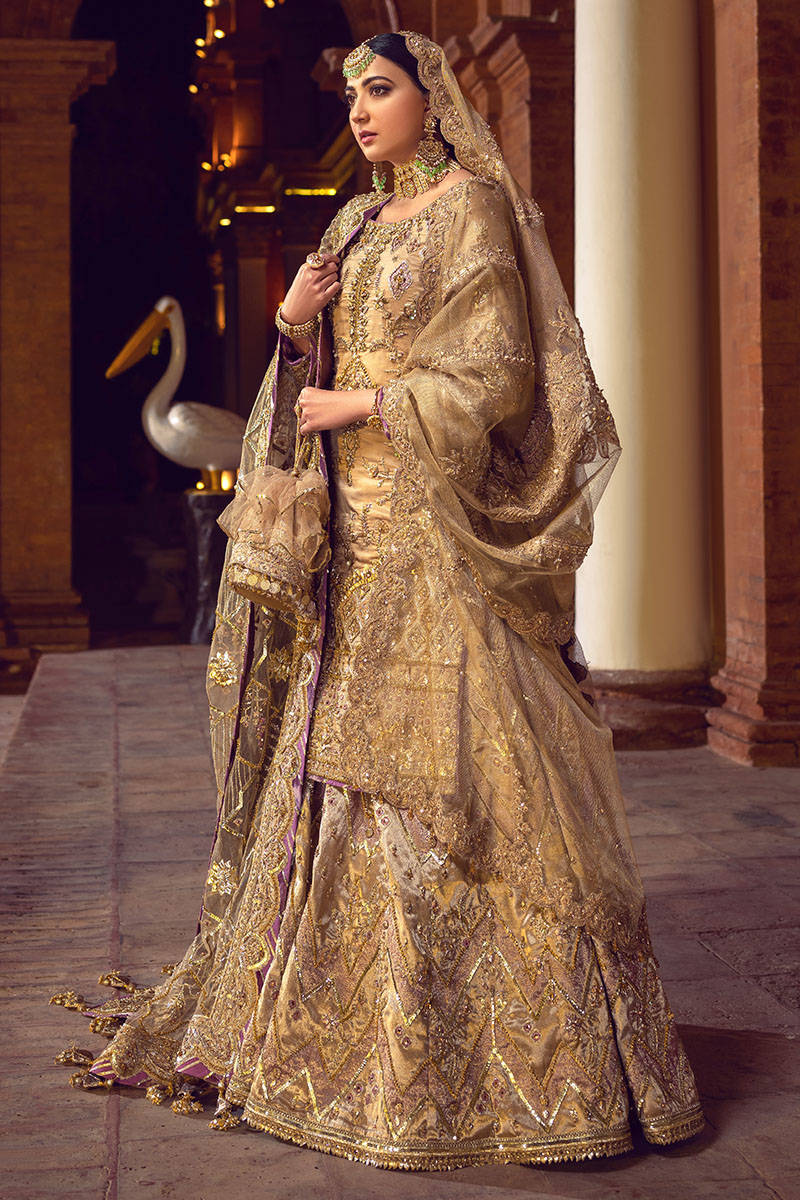 Latest Bridal Sharara Suit Traditional Bridal Dress Pakistani – Nameera ...
