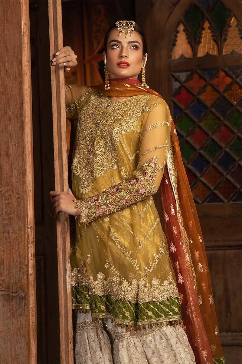 Indian dresses online with multi style embroidery – Nameera by Farooq